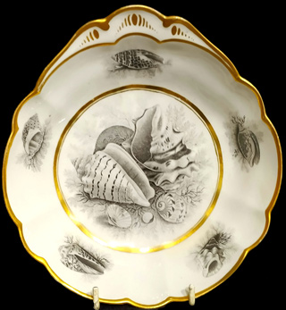 Recent Addition porcelain from Jupiter Antiques